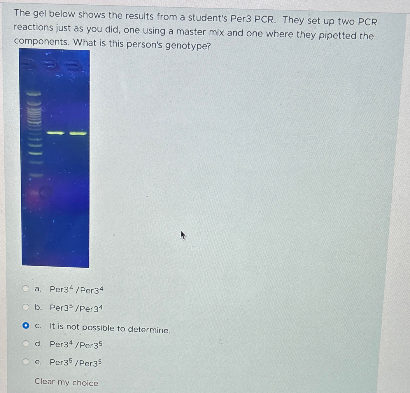 Solved The gel below shows the results from a student's Per3 | Chegg.com
