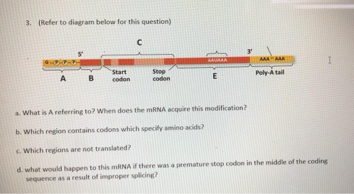 Solved 3. (Refer to diagram below for this question) с 3' 5 | Chegg.com