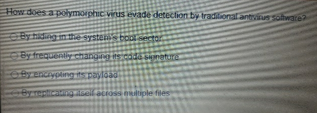 How Does A Polymorphic Virus Evade Detection By 0481
