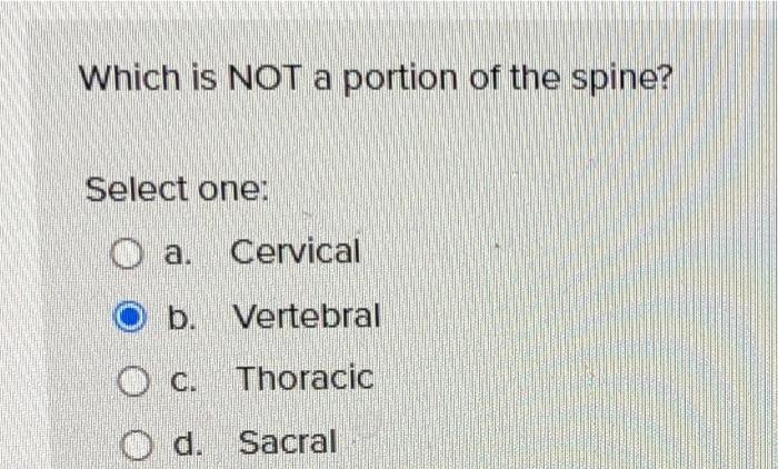 Solved What is the name of the shallow depression of the | Chegg.com