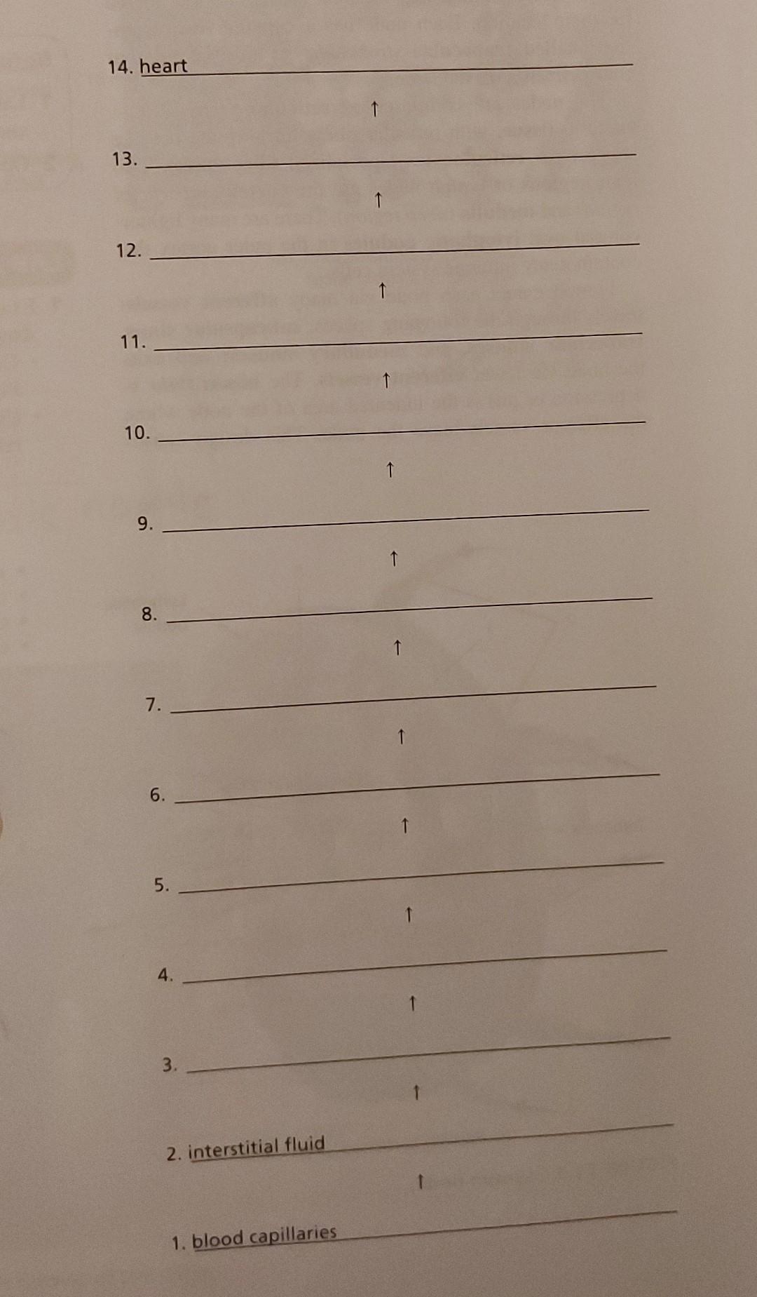 Solved ACTIVITY 2 Flow of Lymph 1 With your lab group, trace | Chegg.com