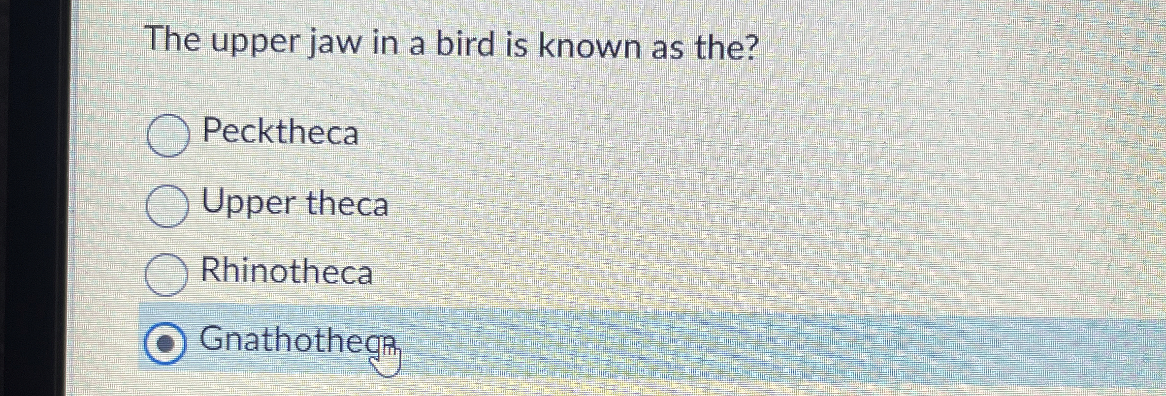 Solved The upper jaw in a bird is known as | Chegg.com