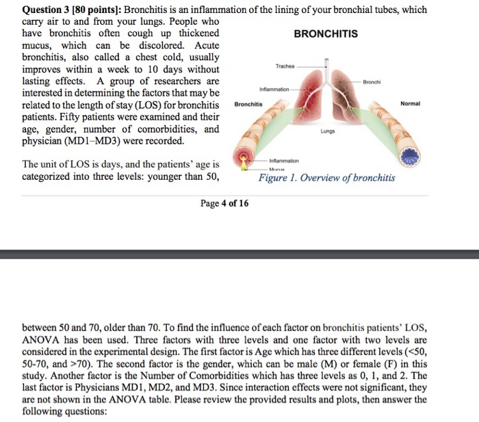 Solved Trachea Bronchi Inflammation Question 3 [80 points]: | Chegg.com
