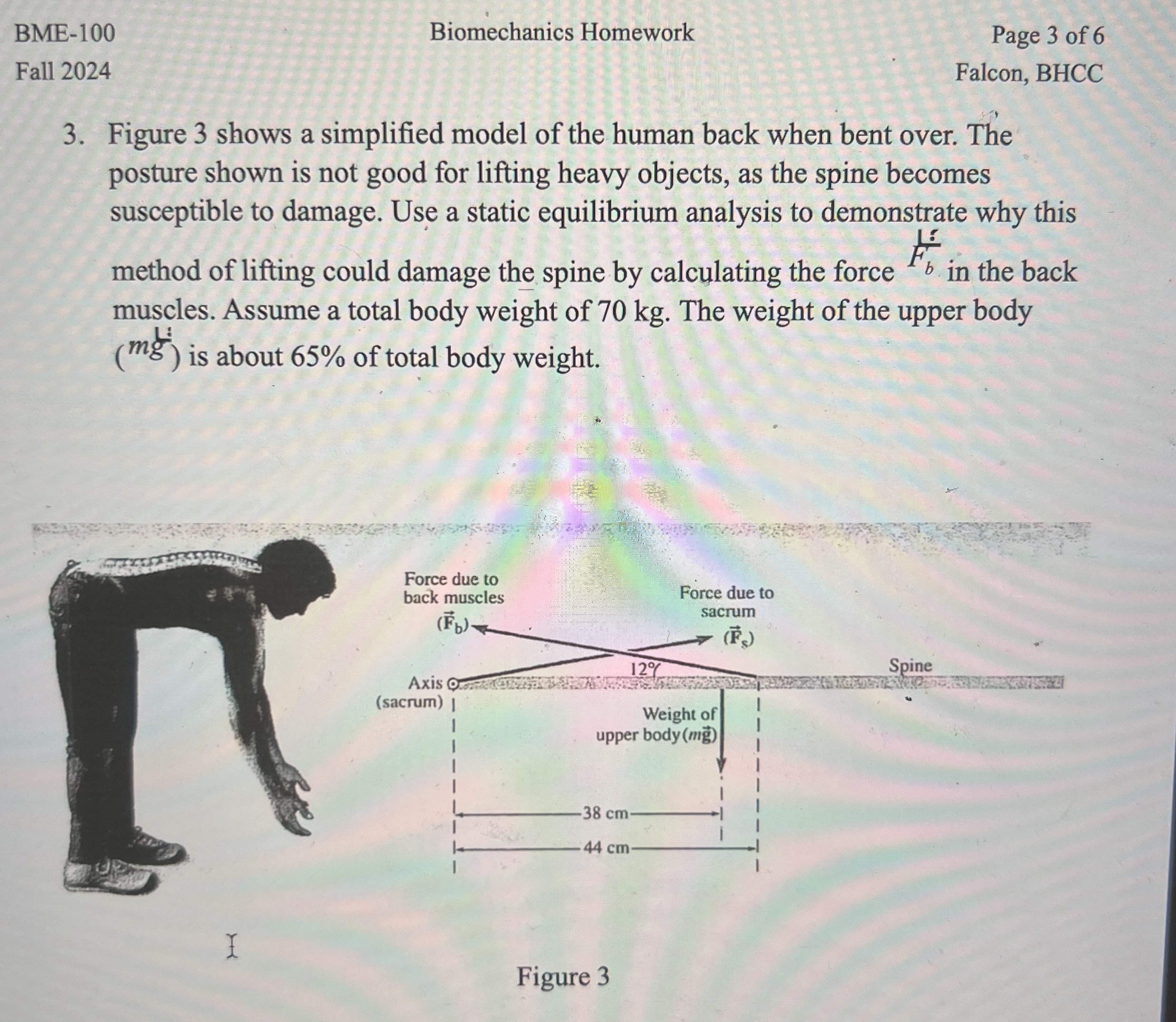 Solved BME-100Biomechanics HomeworkPage 3 ﻿of 6Fall | Chegg.com