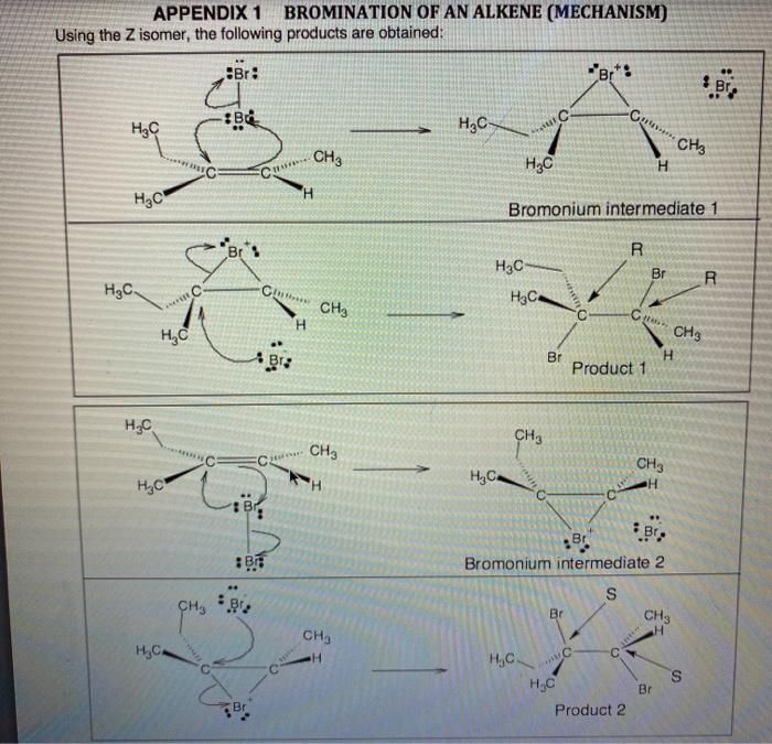 Solved The reaction of cis and trans cinnamic acid with | Chegg.com