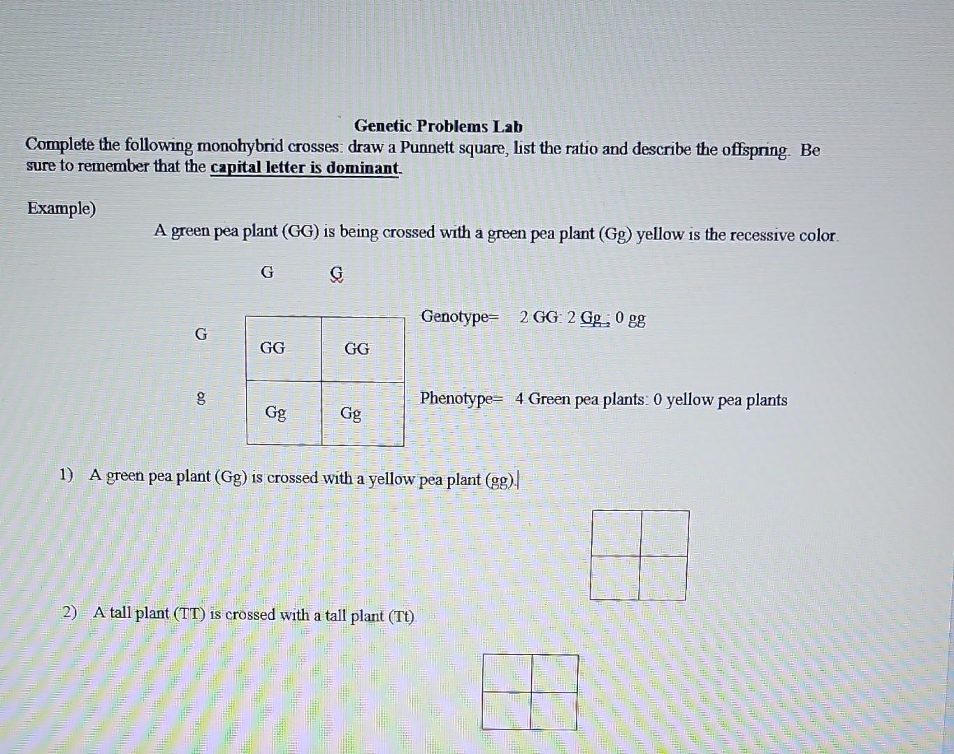 Monohybrid Cross Problems