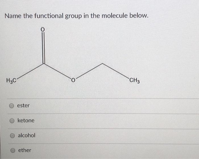Solved Name the functional group in the molecule below. H3C | Chegg.com