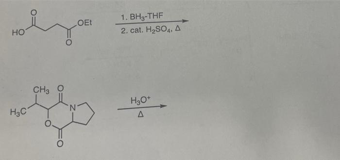Solved OET 1. BH3-THF 2. cat. H2SO4.4 HO CH3 0 'N H₃O+ A H₃C | Chegg.com