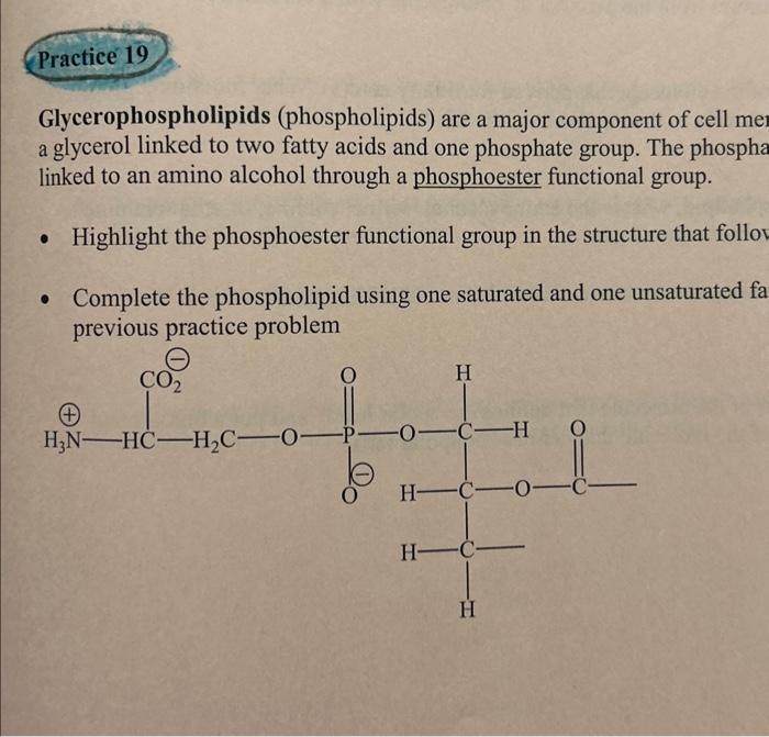 Solved Glycerophospholipids (phospholipids) are a major | Chegg.com