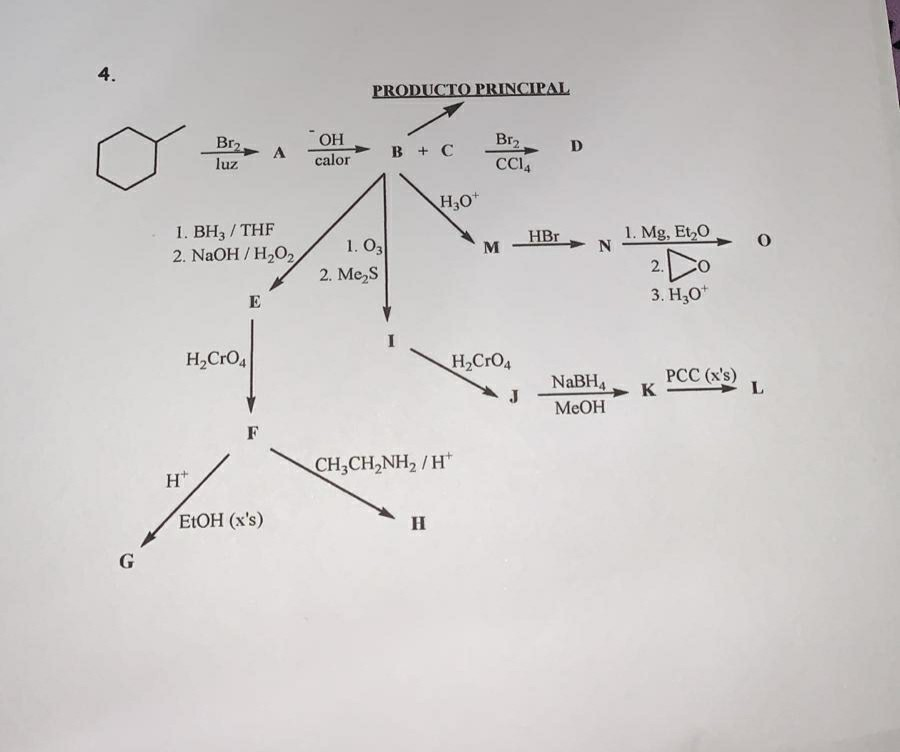 Solved PRODUCTO PRINCIPAL H20+ 1. BHZ/THF 2. NaOH/H,O, HBEN | Chegg.com
