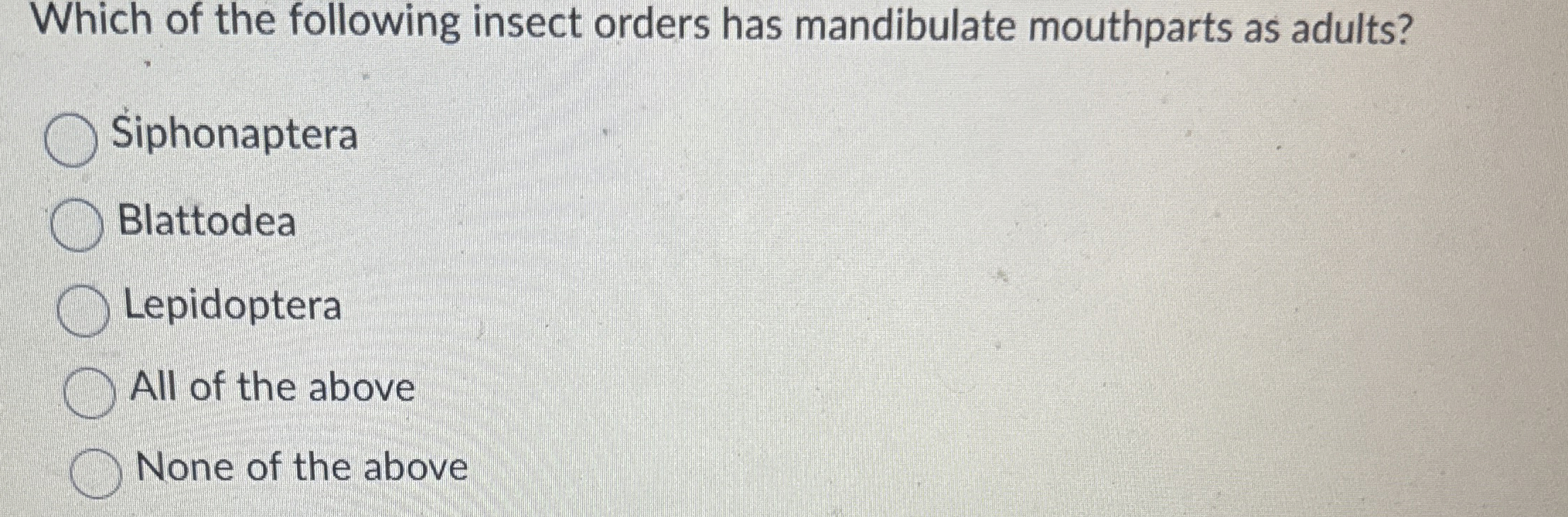 Solved Which of the following insect orders has mandibulate | Chegg.com