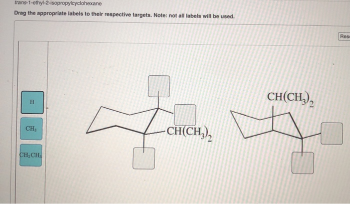 Solved trans-1-ethyl-2-isopropylcyclohexane Drag the | Chegg.com