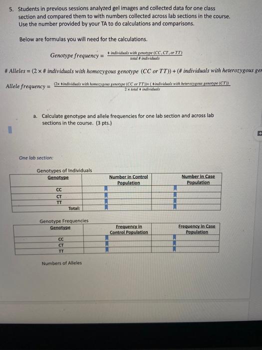 Solved 5. Students in previous sessions analyzed gel images | Chegg.com