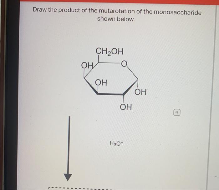 Solved Draw the product of the mutarotation of the | Chegg.com
