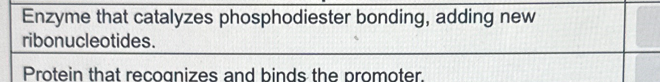 Solved Enzyme that catalyzes phosphodiester bonding, adding | Chegg.com