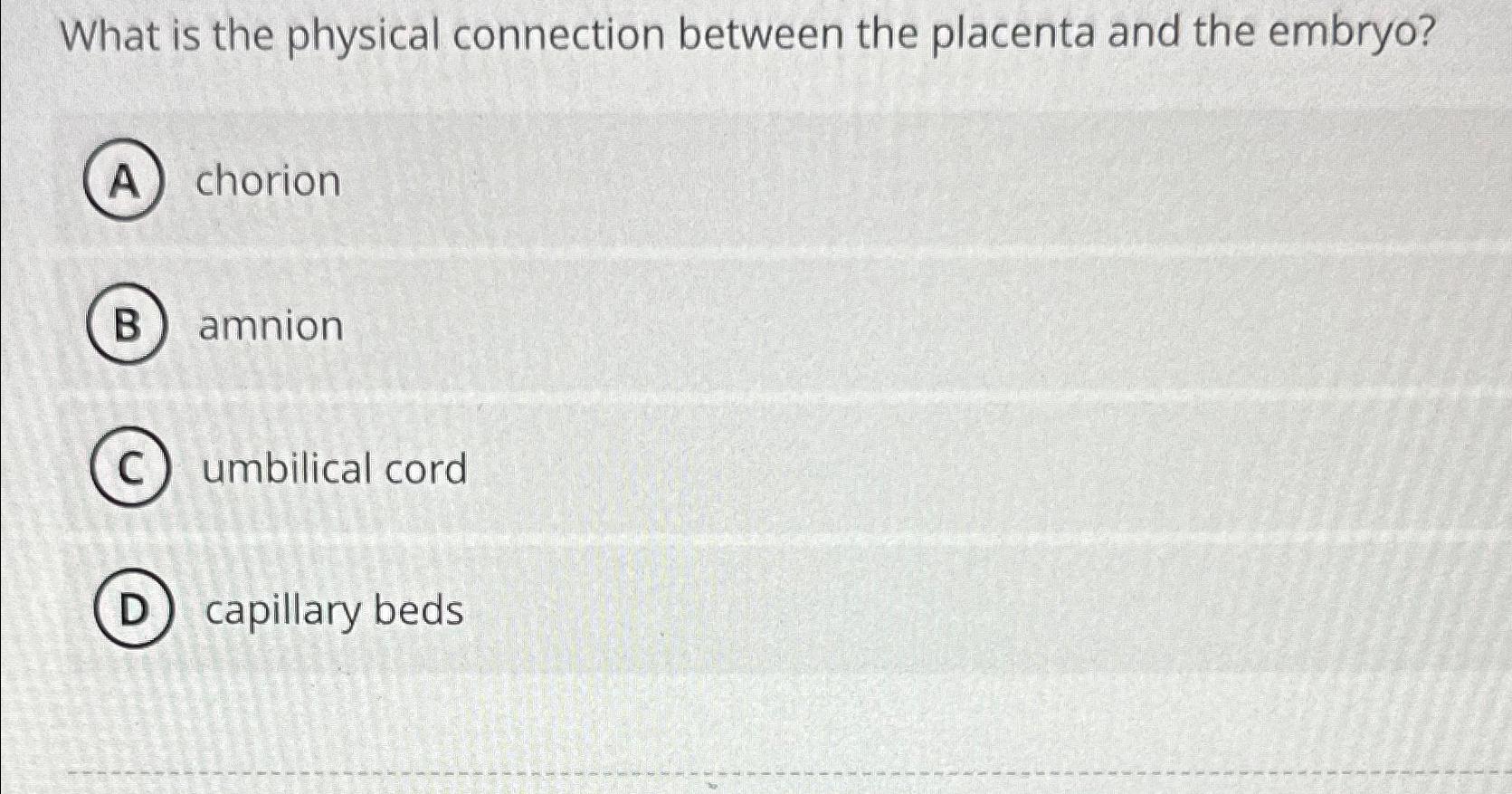 Solved What is the physical connection between the placenta | Chegg.com