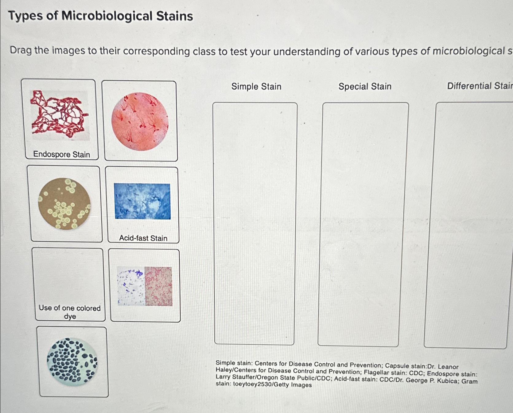 Solved Types of Microbiological StainsDrag the images to | Chegg.com Solved Types of Microbiological StainsDrag the images to | Chegg.com
