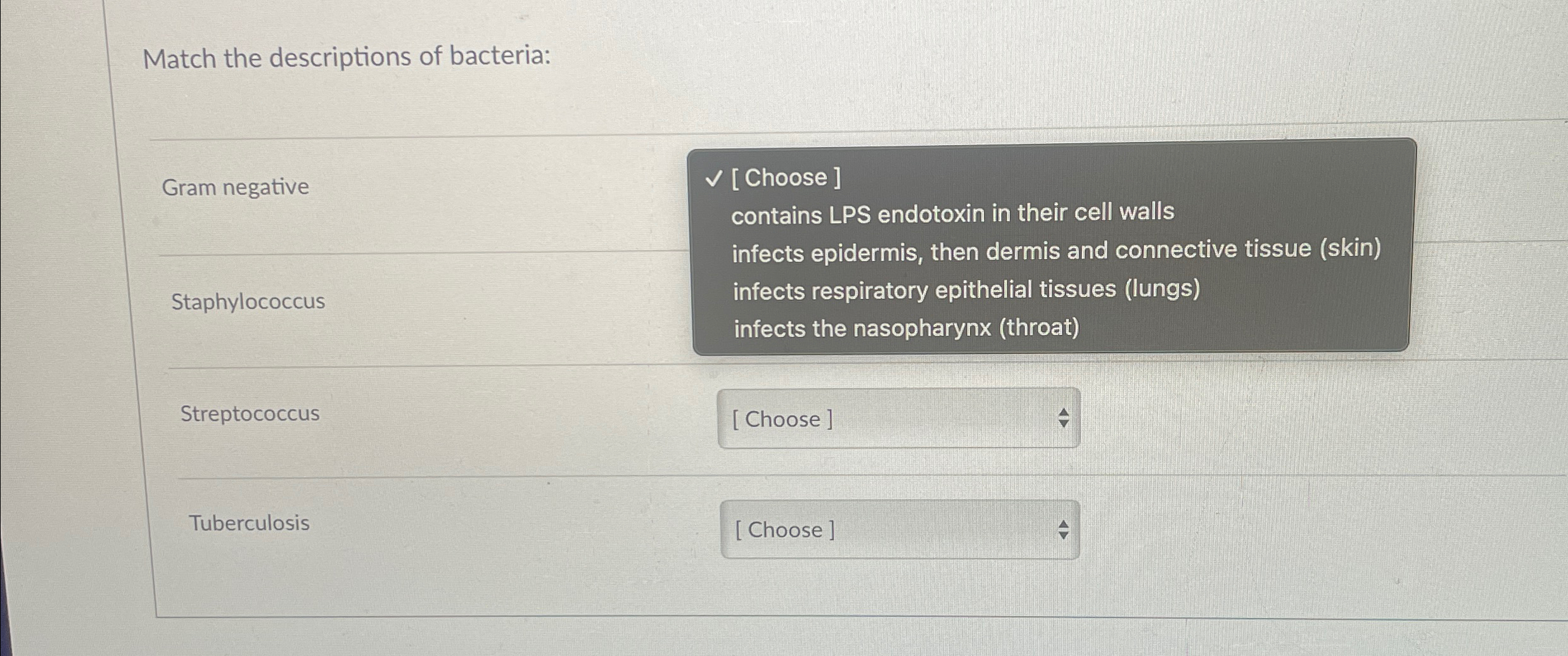 Solved Match the descriptions of bacteria:Gram negative | Chegg.com