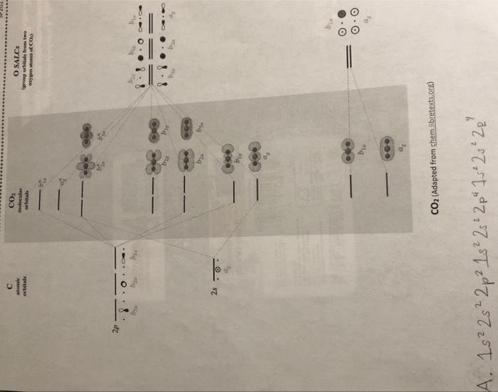 Solved CO2 (Adapted from chem libretexts, org) | Chegg.com