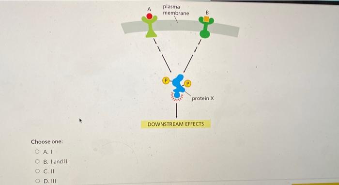 Solved The integration of signals from more than one pathway | Chegg.com