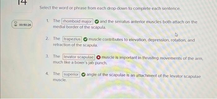 Solved Select the word or phrase from each drop-down to | Chegg.com