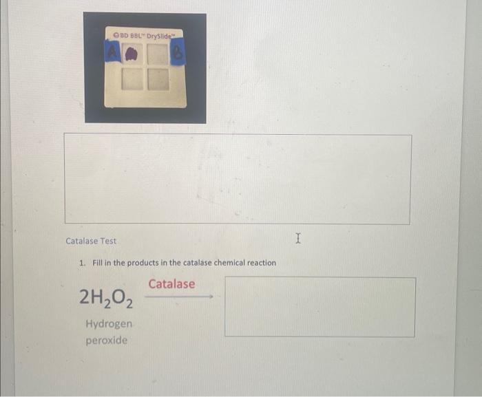 Solved Drobox Assignment for Aerotolerance Tests | Chegg.com