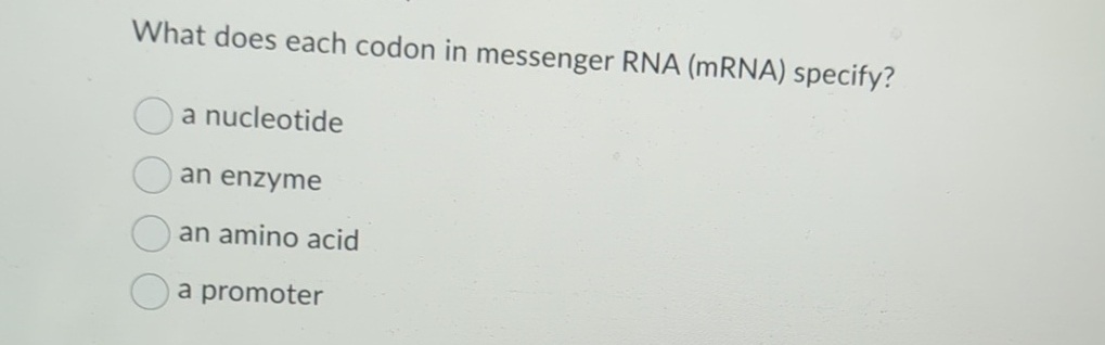 Solved What does each codon in messenger RNA (mRNA) | Chegg.com