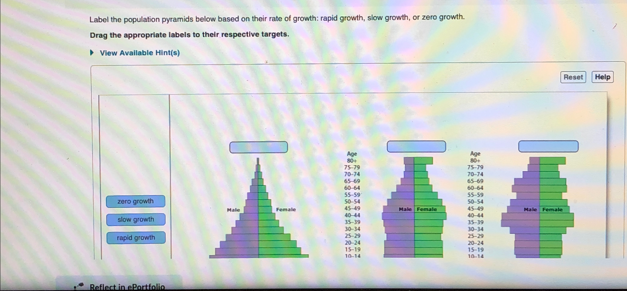 Solved Label the population pyramids below based on their | Chegg.com