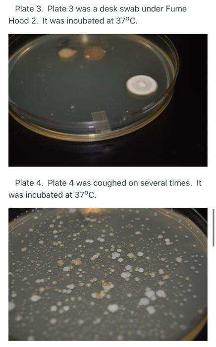 Solved Name Date Lab Section DATA SHEET 2-1 I was present | Chegg.com