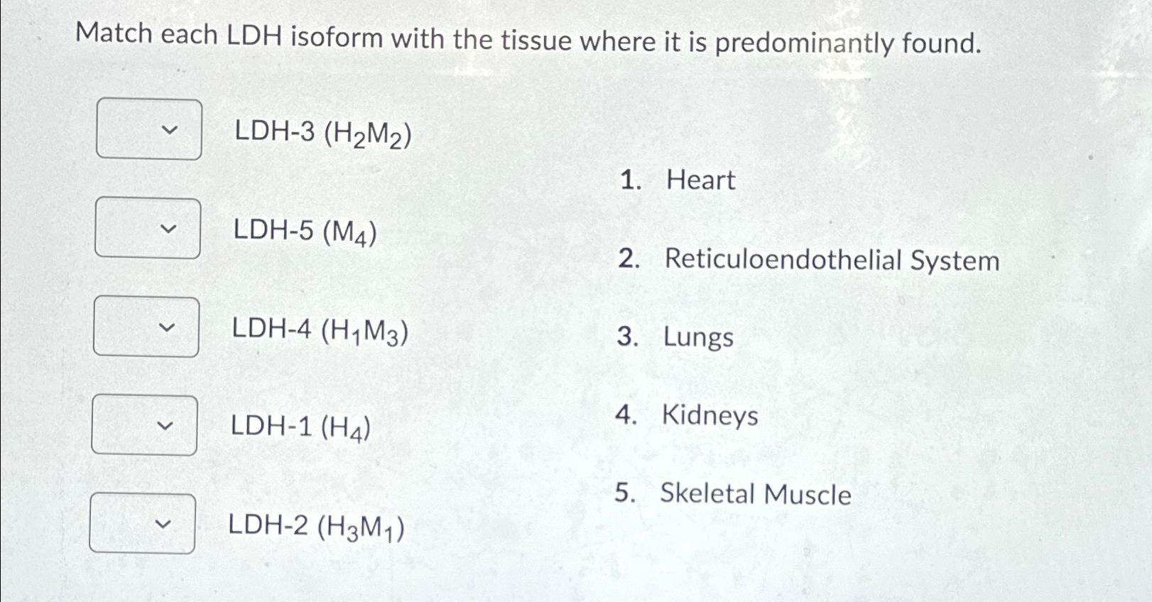 Solved Match each LDH isoform with the tissue where it is | Chegg.com