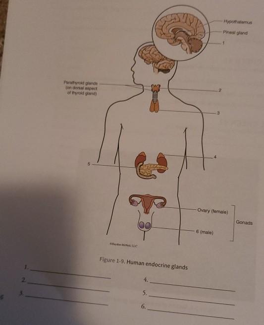 Solved Class Day Complete skill checks 1-3: SKILL CHECK #1 | Chegg.com