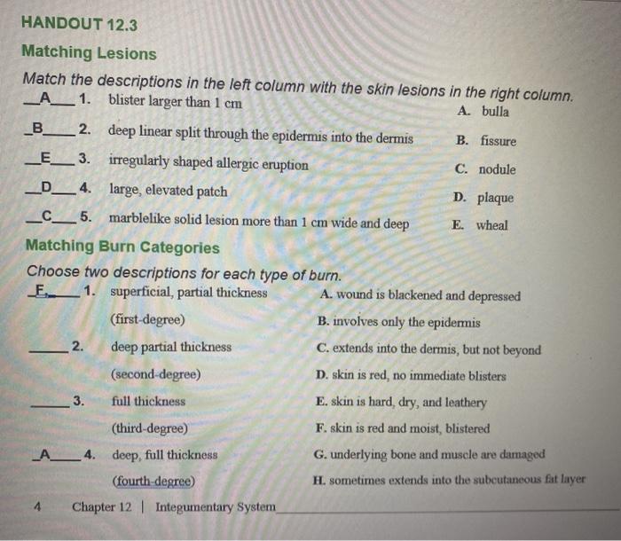 Solved HANDOUT 12.3 Matching Lesions Match the descriptions | Chegg.com