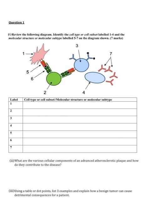 Solved (i) Review the following diagram. Identify the cell | Chegg.com