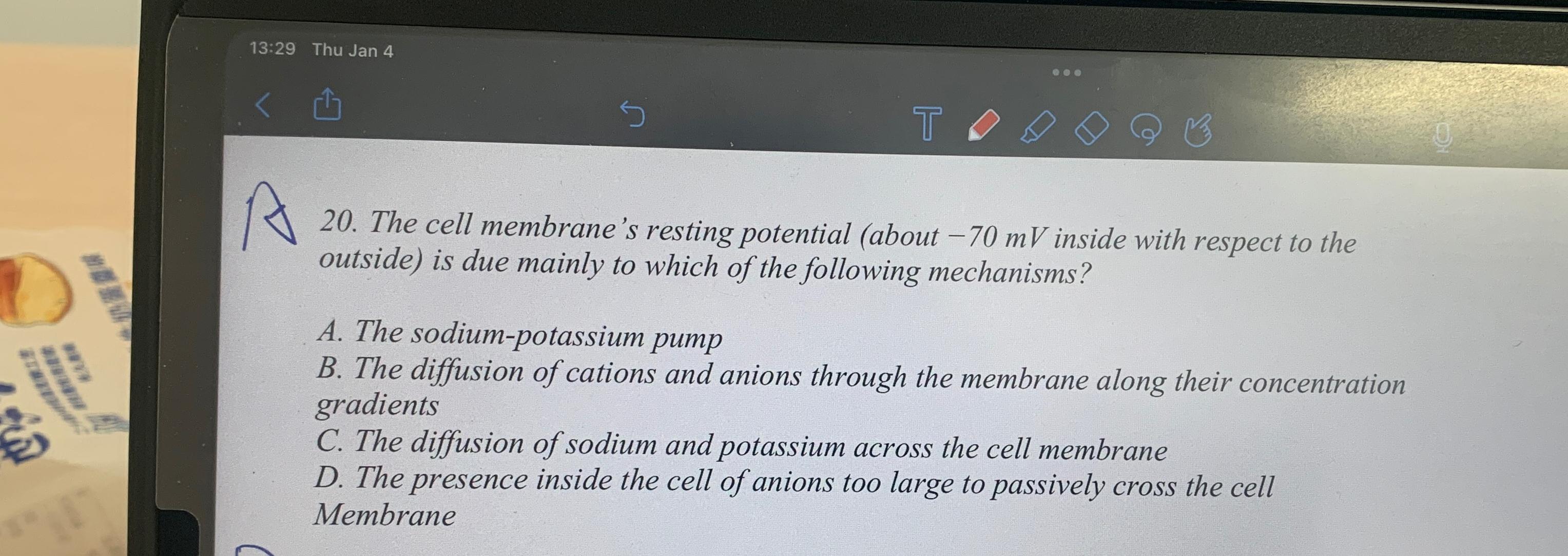 Solved The cell membrane's resting potential (about - 70mV | Chegg.com