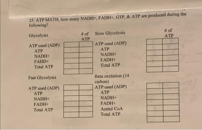 Solved 25. ATP MATH, how many NADH+, FADH+, GTP, & ATP are | Chegg.com