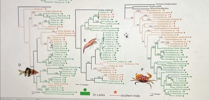 Part II - Interpreting Trees as Hypotheses: A recent | Chegg.com