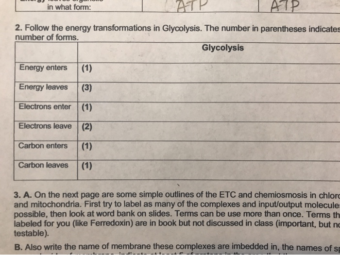 Solved in what form: ZTP ATP 2. Follow the energy | Chegg.com