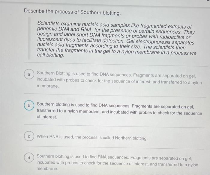 Solved Describe the process of Southern blotting. Scientists | Chegg.com
