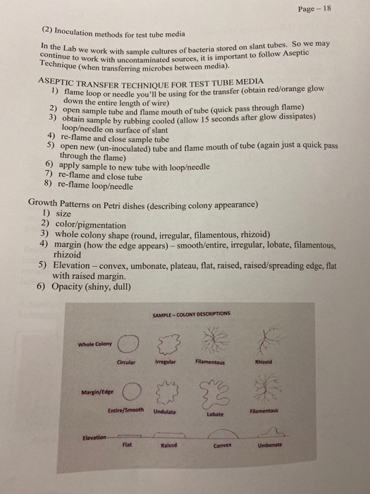LAB 4 UBIQUITY OF MICROORGANISMS Lab - 4A Laboratory | Chegg.com