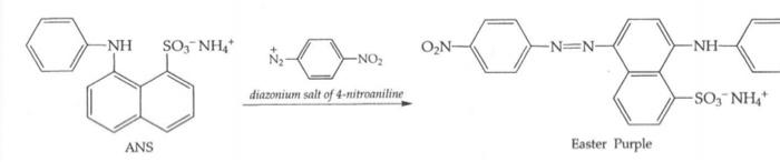 Solved 4. The compound ANS is a large carbon-based structure | Chegg.com