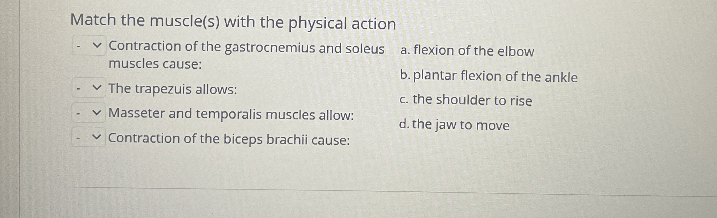 Solved Match the muscle(s) ﻿with the physical action | Chegg.com