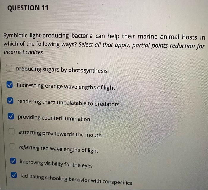 Solved QUESTION 11 Symbiotic light-producing bacteria can | Chegg.com