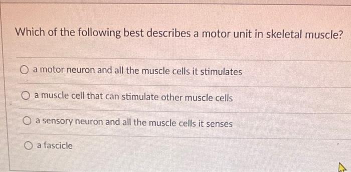 Solved True or False: The muscular system has functions as | Chegg.com