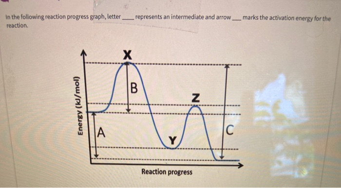 Solved In the following reaction progress graph, letter | Chegg.com