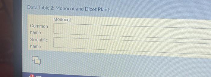 Solved Data Table 2: Monocot and Dicot Plants Common name: | Chegg.com