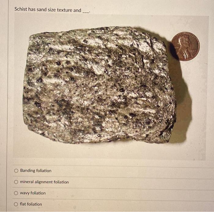 Solved Which of the following rocks has a characteristic | Chegg.com