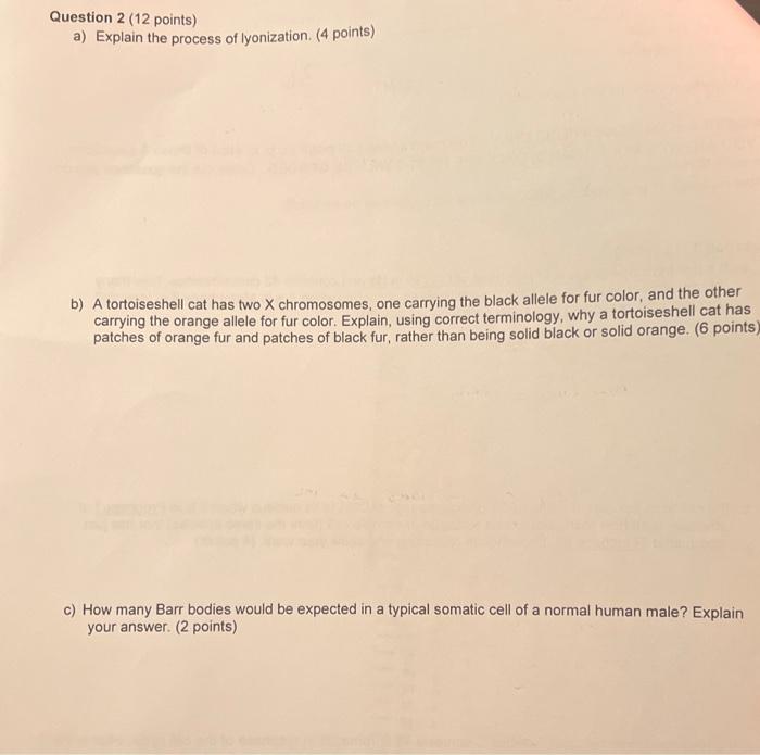 Solved Question 2 (12 points) a) Explain the process of | Chegg.com