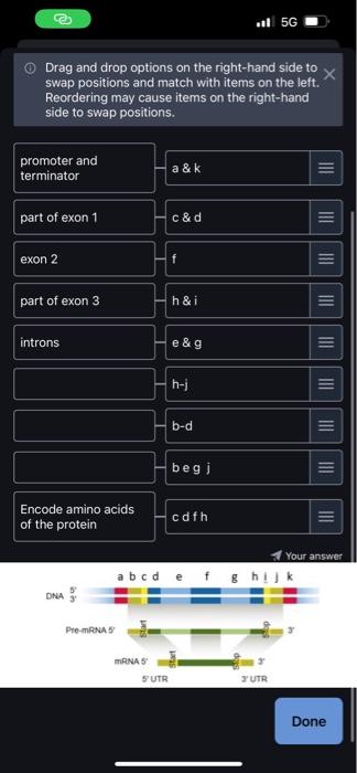 Solved Drag and drop options on the right-hand side to swap | Chegg.com