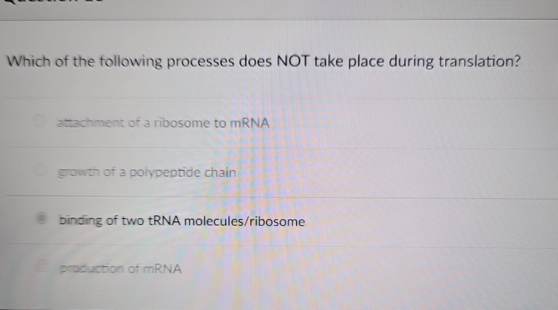 Solved Which of the following processes does NOT take place | Chegg.com
