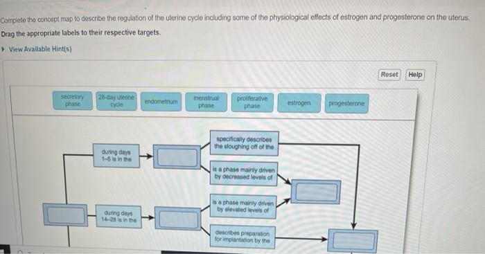 Solved write a reflection essay about how you have developed | Chegg.com